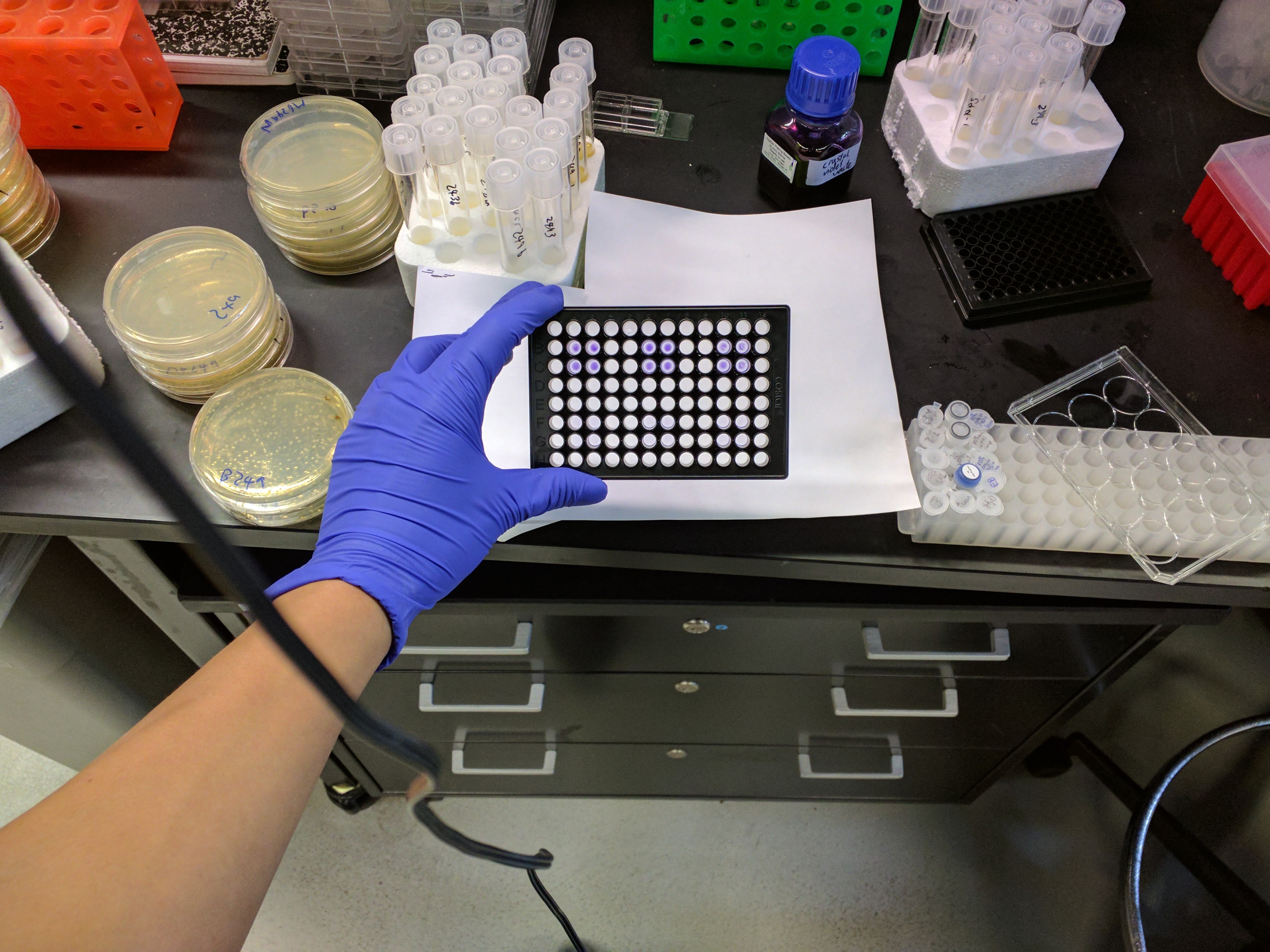 Research - Jin Lab @ UCalgary